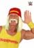 WWE Hulk Hogan Wig